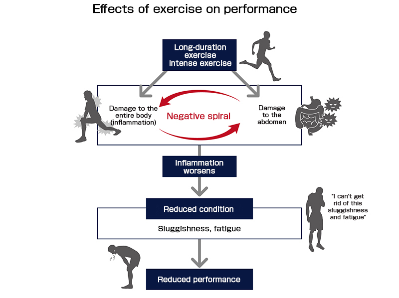 The causes of fatigue and tiredness after exercise | Amino Acid Sports ...